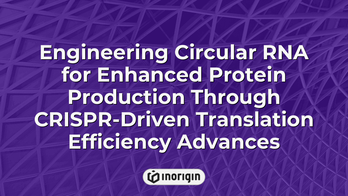 Engineering Circular RNA For Enhanced Protein Production Through CRISPR ...